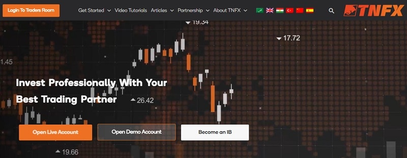 TNFX - Forex Penguin
