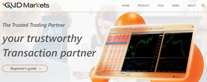 GVD Markets - Forex Penguin