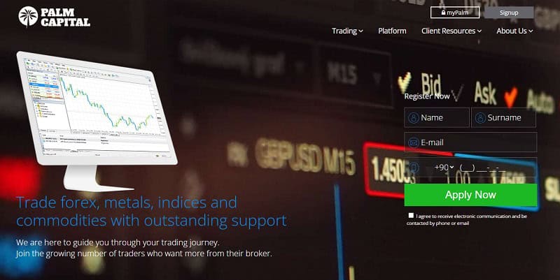 Palm Global - Forex Penguin