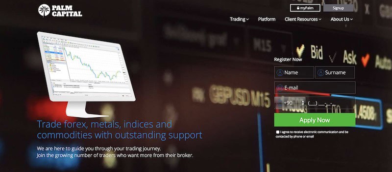 Palm Global - Forex Penguin